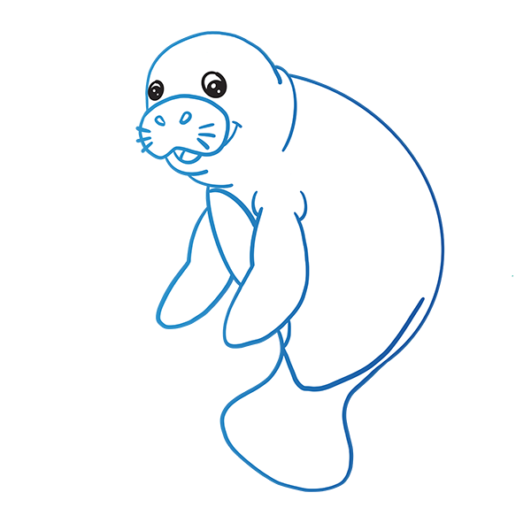 Our Programs - Daniel Island Academy